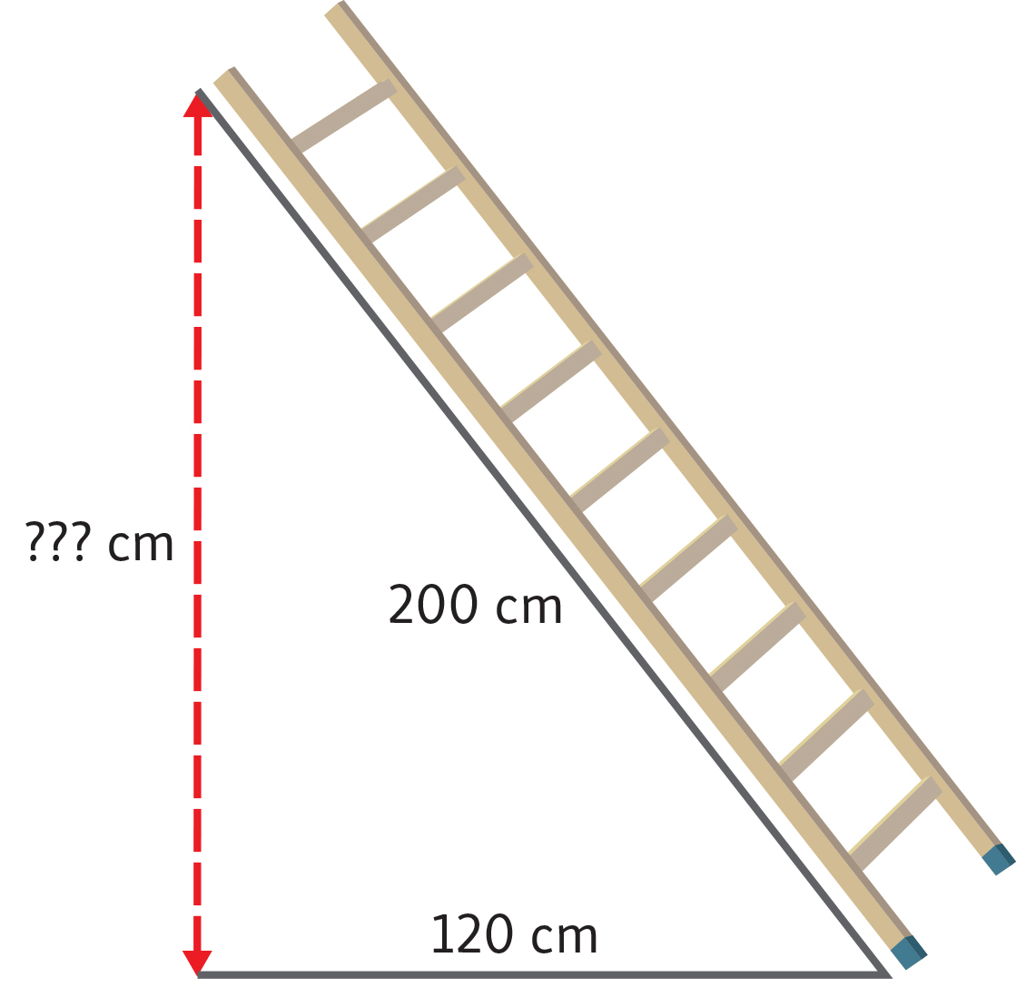 Alla ricerca di… Pitagora | Articoli | DLive Matematica