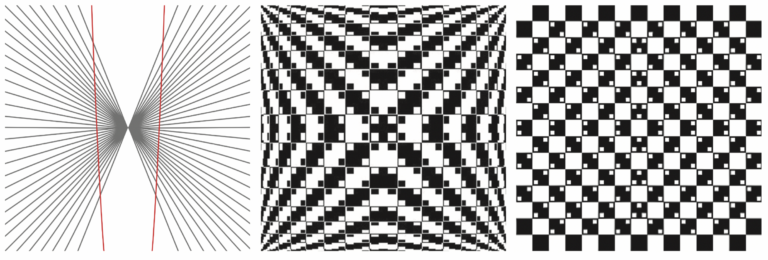 Illusioni ottiche in geometria | Articoli | DLive Matematica